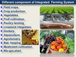 Integrated farming system by Dr sunil | PPTX
