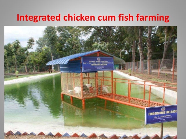 Integrated farming system by Dr sunil