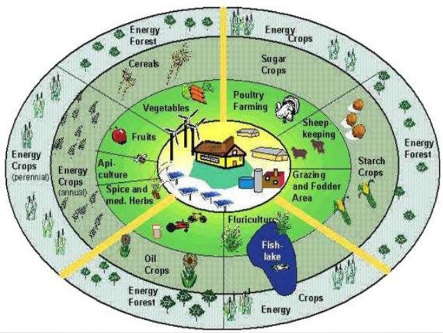 Integrated farming system by Dr sunil