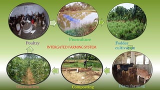 Integrated farming system | PPTX