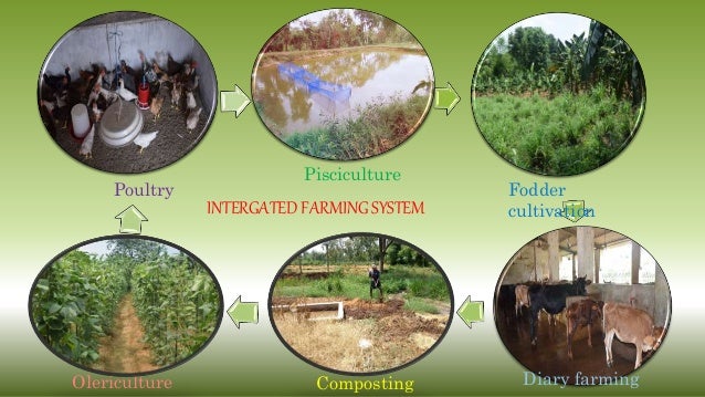 Integrated farming system