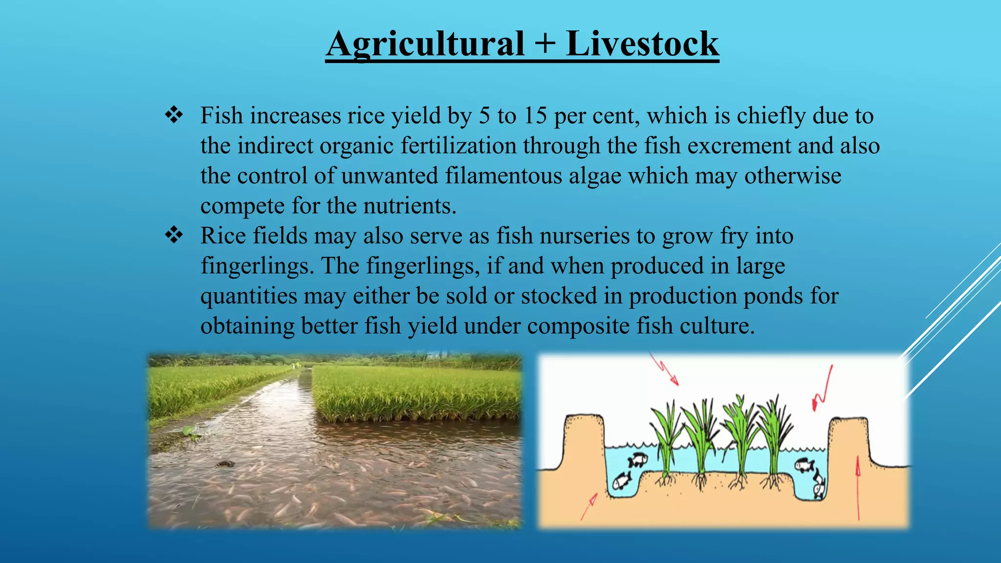 Integrated farming system | PDF