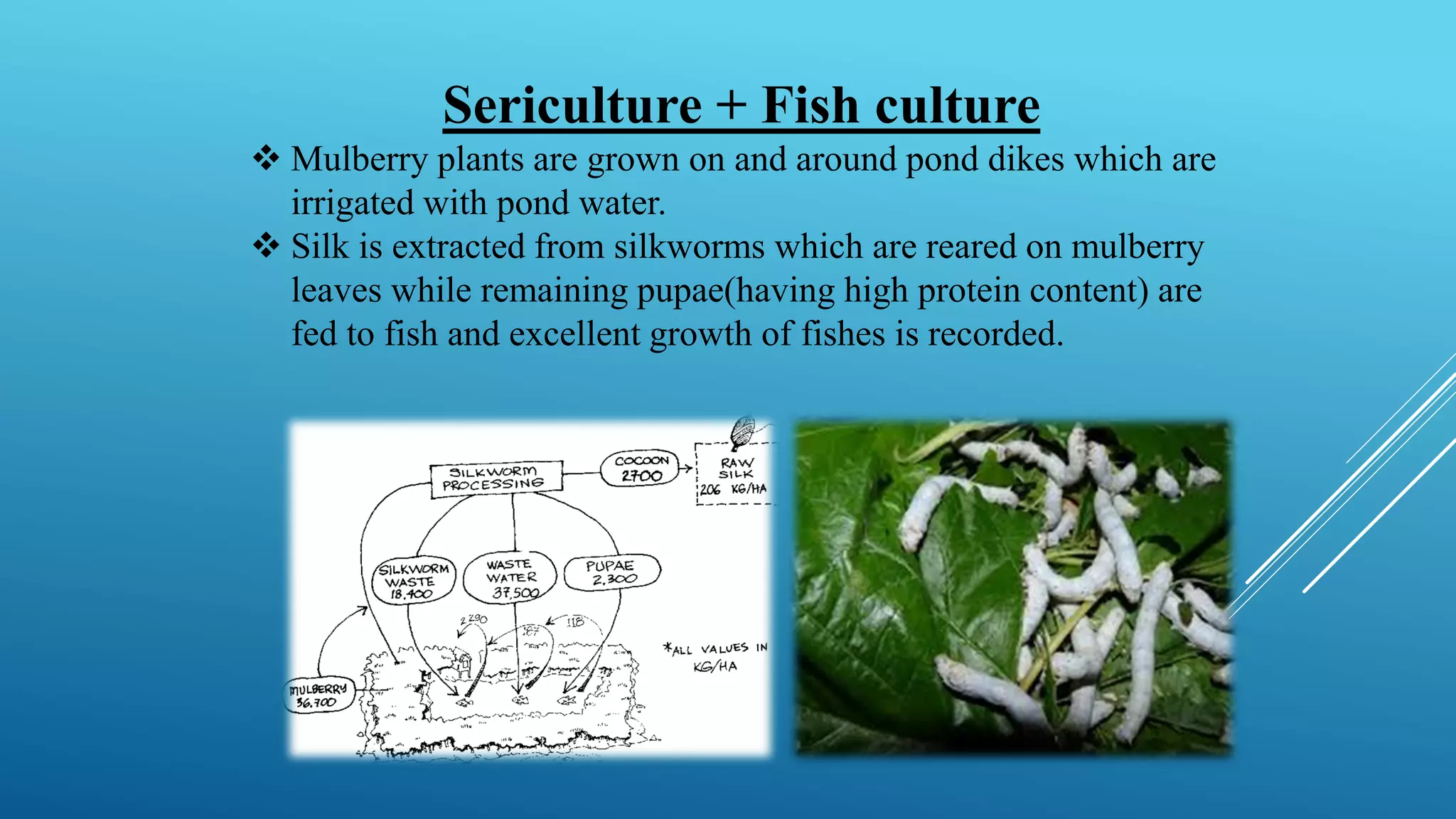 Integrated farming system | PDF
