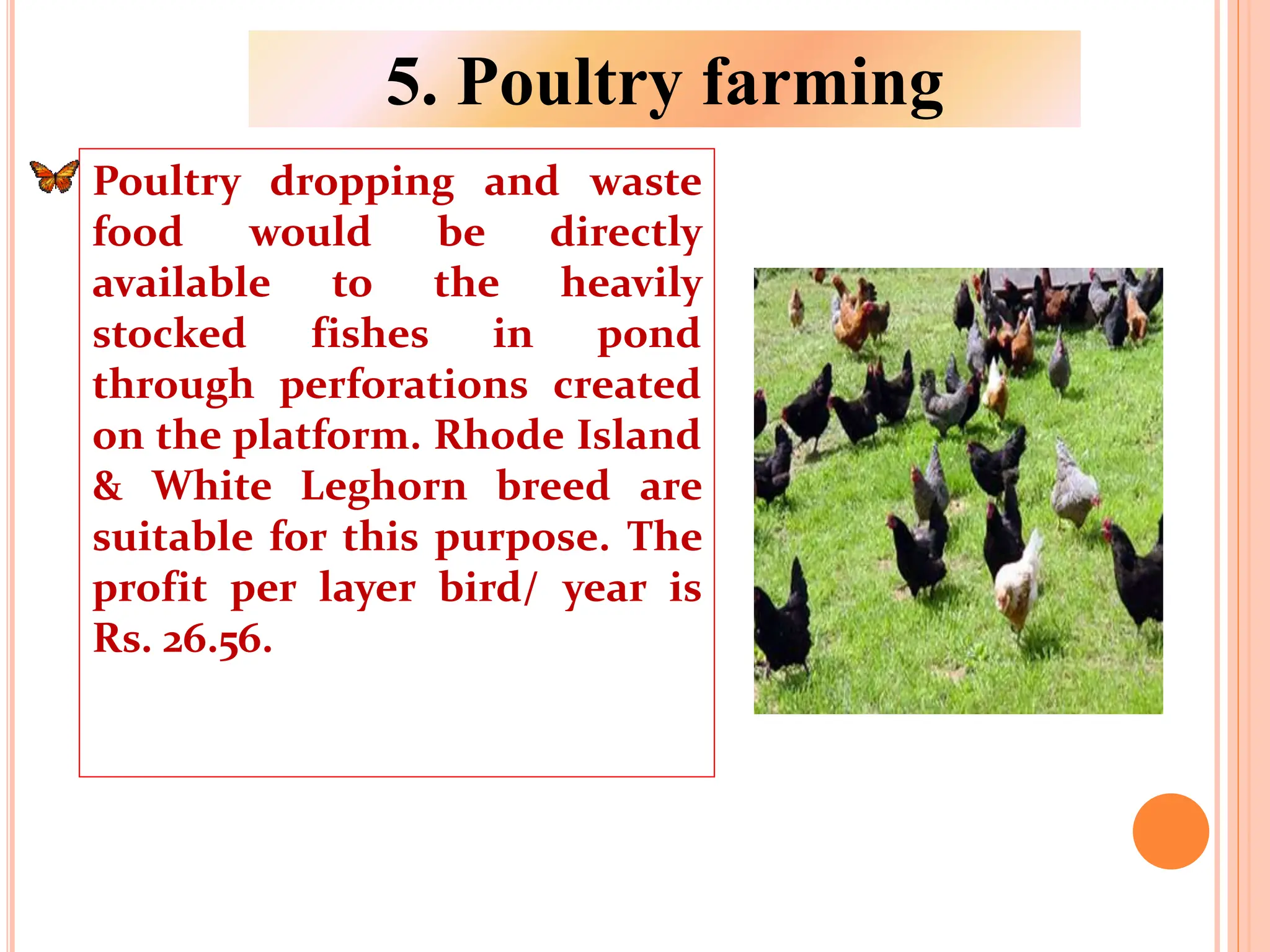 integrated farming system and its importnce.ppt