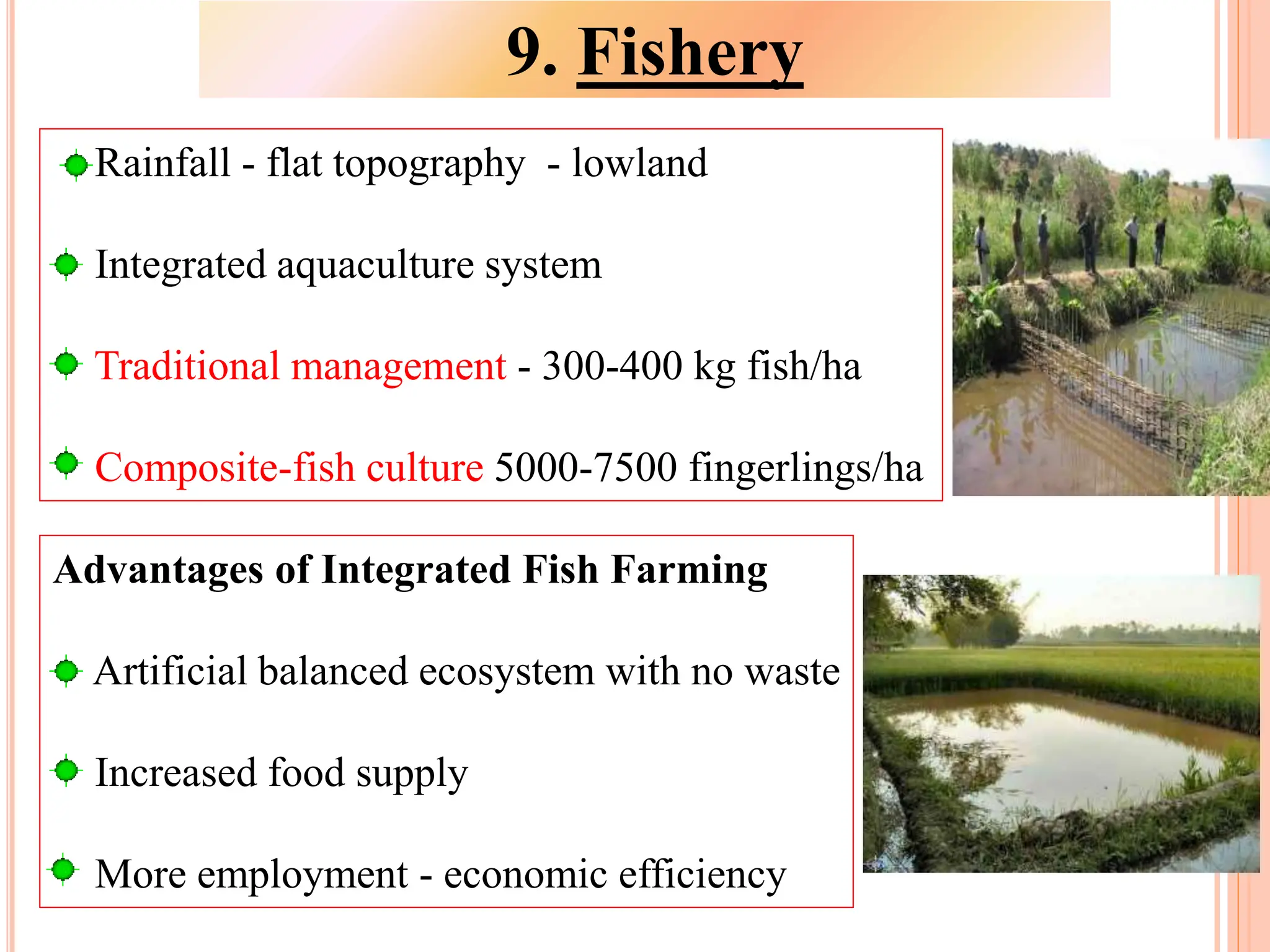 integrated farming system and its importnce.ppt