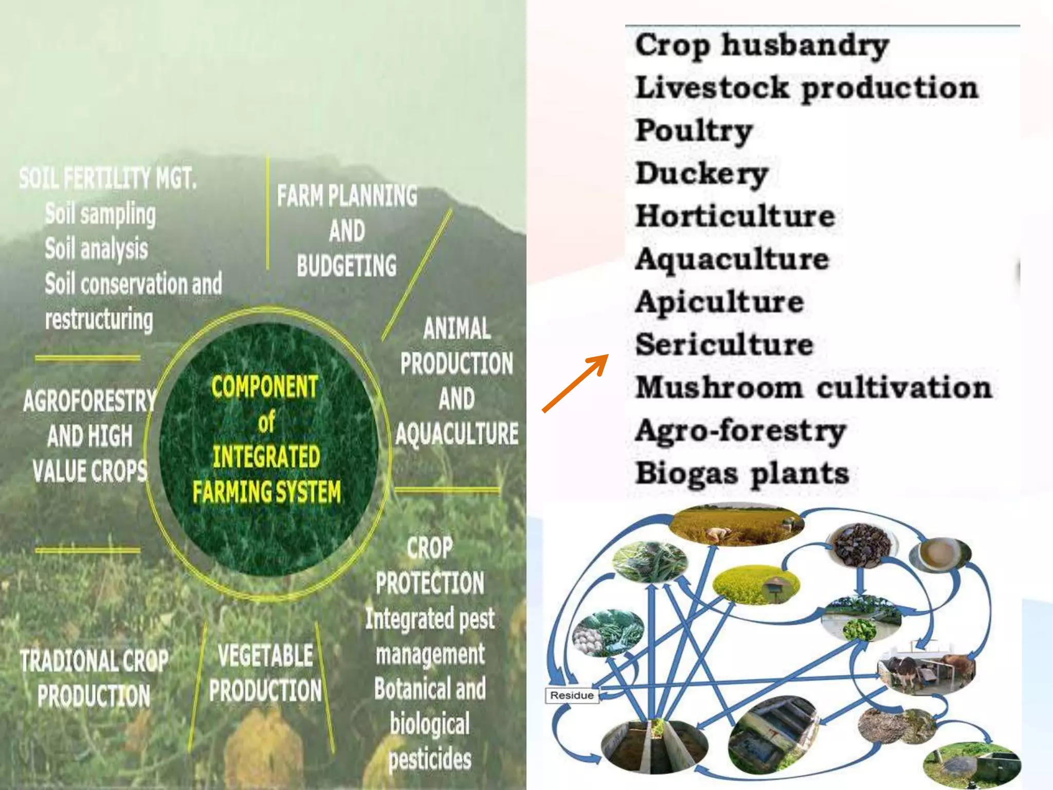 Integrated farming system and sustainable agriculture | PPTX