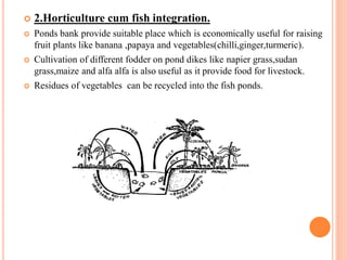 Integrated Farming System (IFC) | PDF