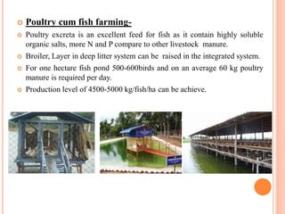 Integrated Farming System (IFC) | PDF