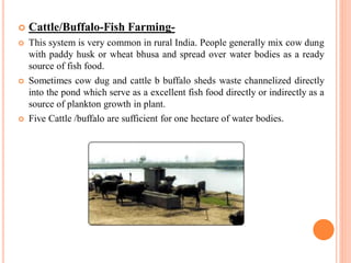 Integrated Farming System (IFC) | PDF