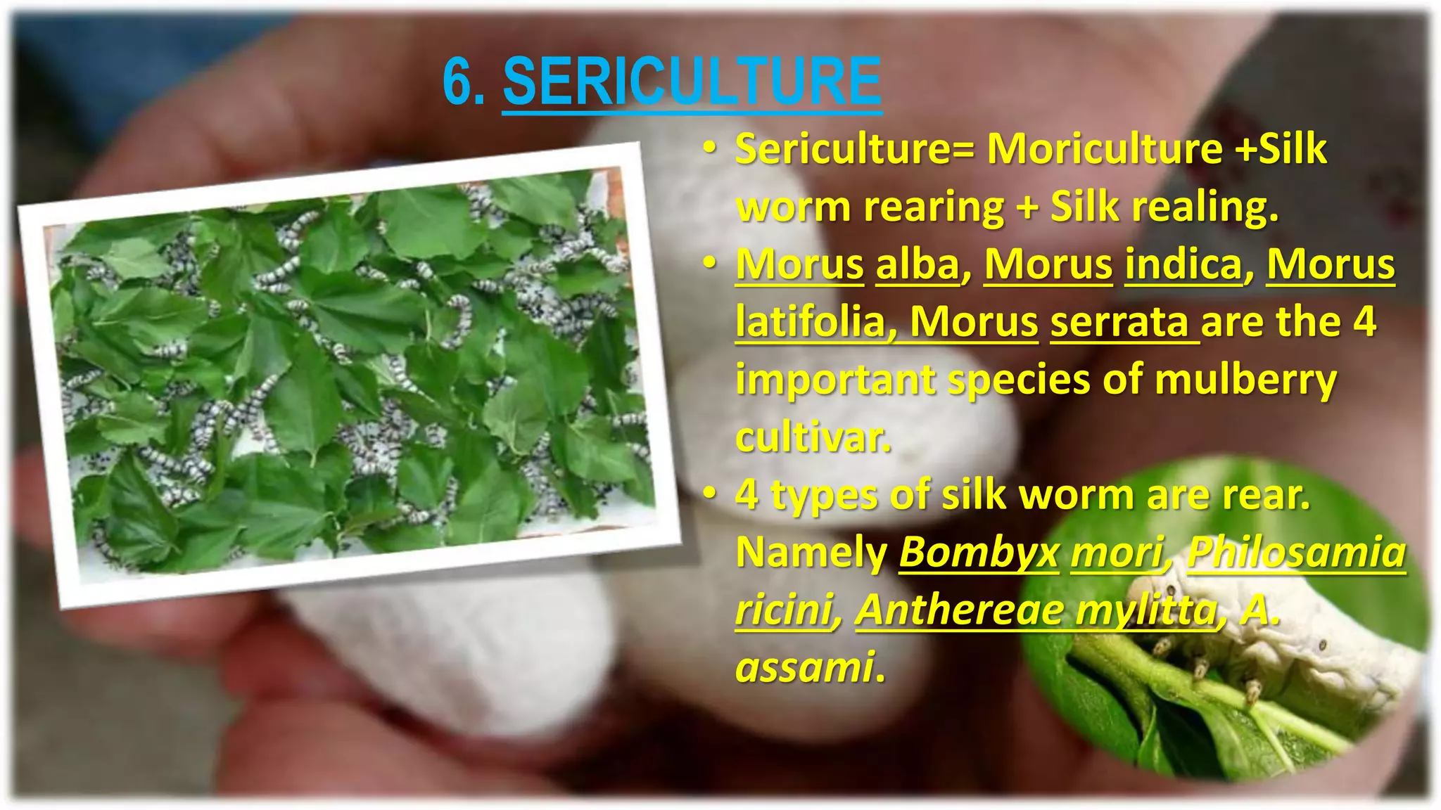 Integrated farming system in hilly region | PPTX