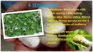 Integrated farming system in hilly region | PPTX