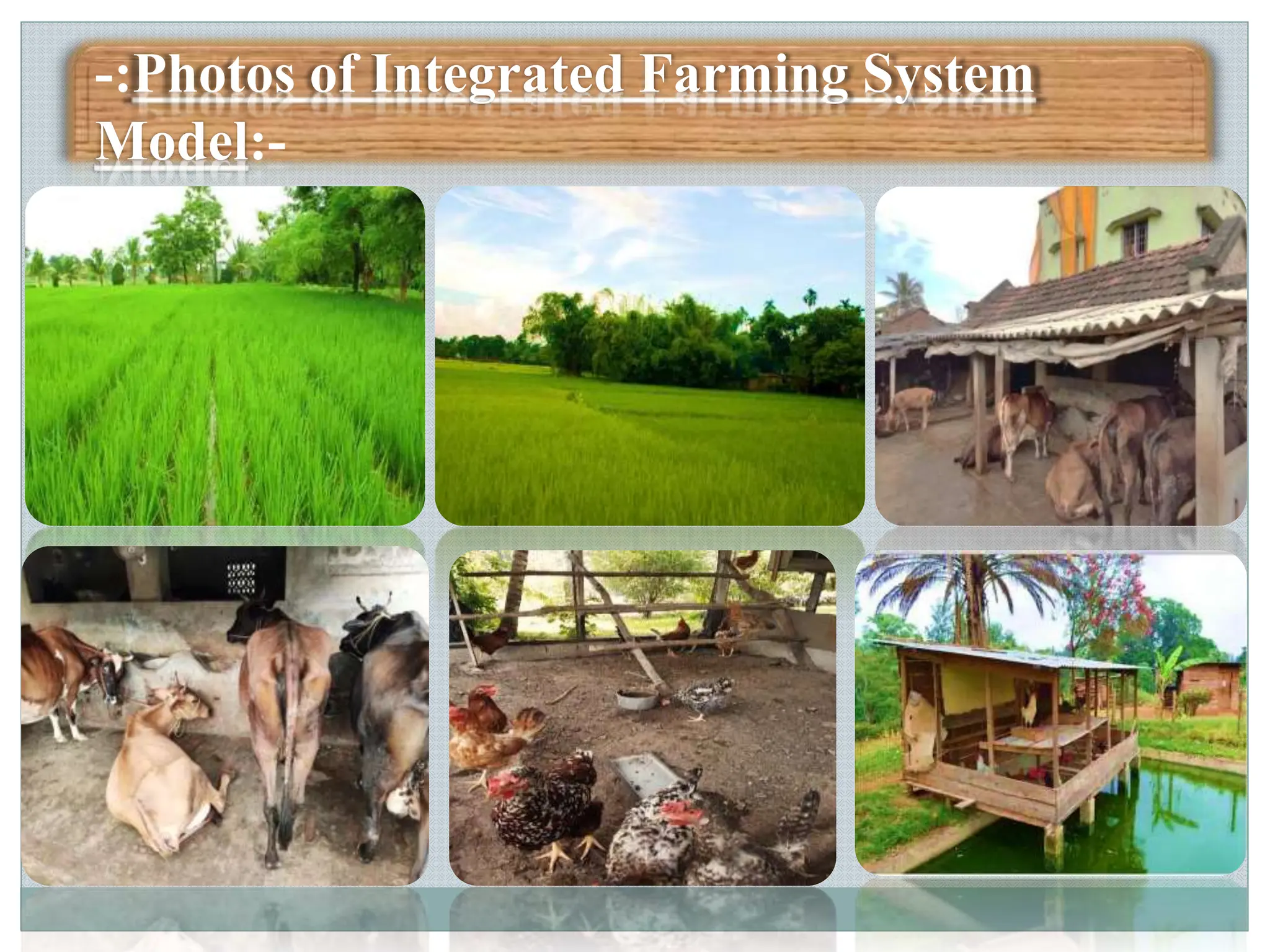 An Integrated farming system model..pptx | Agriculture | Industries