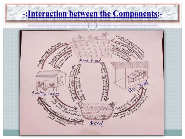 An Integrated farming system model..pptx