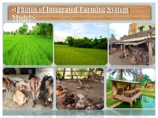An Integrated farming system model..pptx | Agriculture | Industries