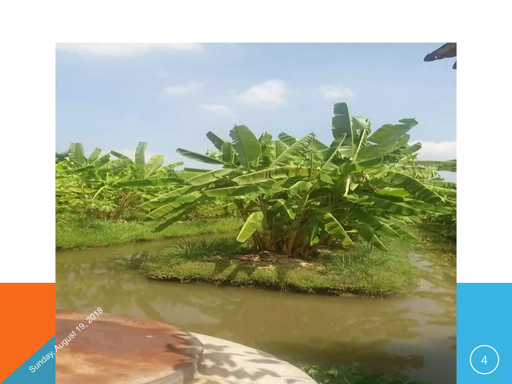 Integrated farm management and advancement in linking farmers | PPTX