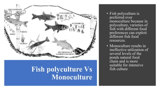 Integrated fish and poultry farming | PPTX