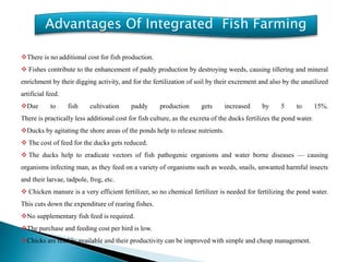 Integrated fish farming.pptx
