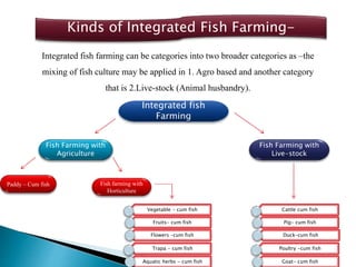 Integrated fish farming.pptx