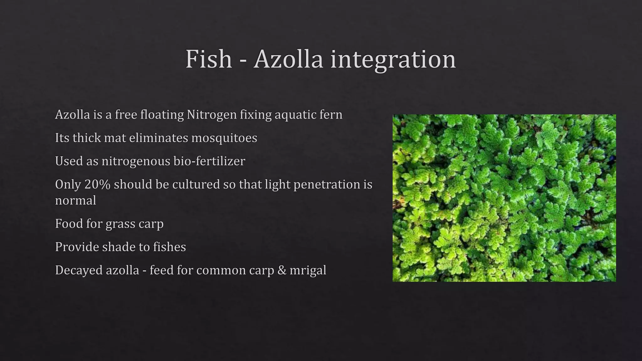 INTEGRATED FISH FARMING.pptx