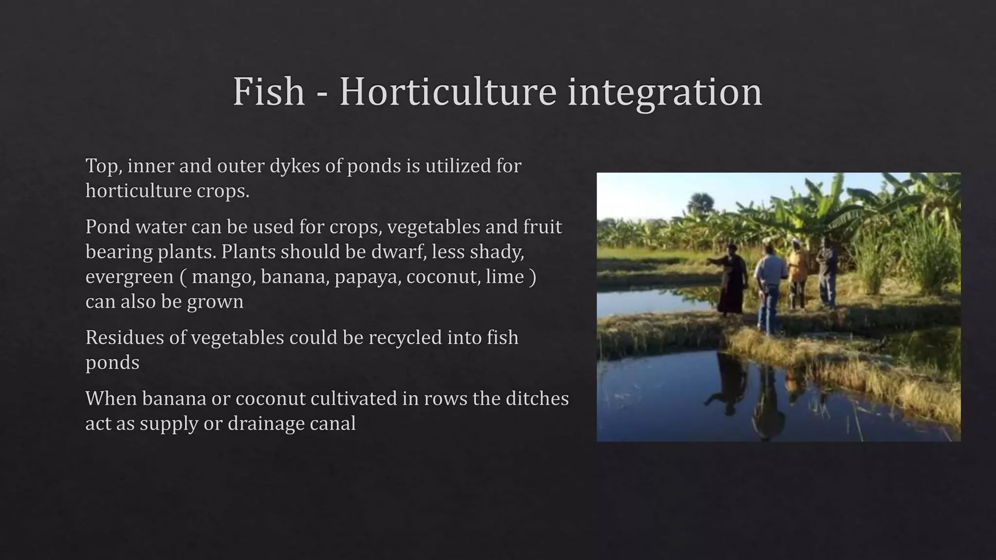 INTEGRATED FISH FARMING.pptx