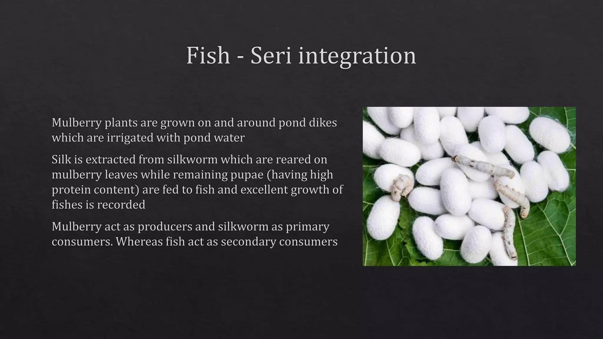 INTEGRATED FISH FARMING.pptx