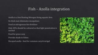 INTEGRATED FISH FARMING.pptx