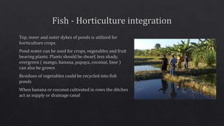INTEGRATED FISH FARMING.pptx