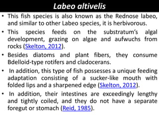 Integrated Fish Farming as best Sustainable farming.pptx
