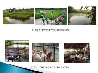 integratedfishfarming MSC SEM 3 PAPER 4 - (Fish Ecology, Aquaculture ...