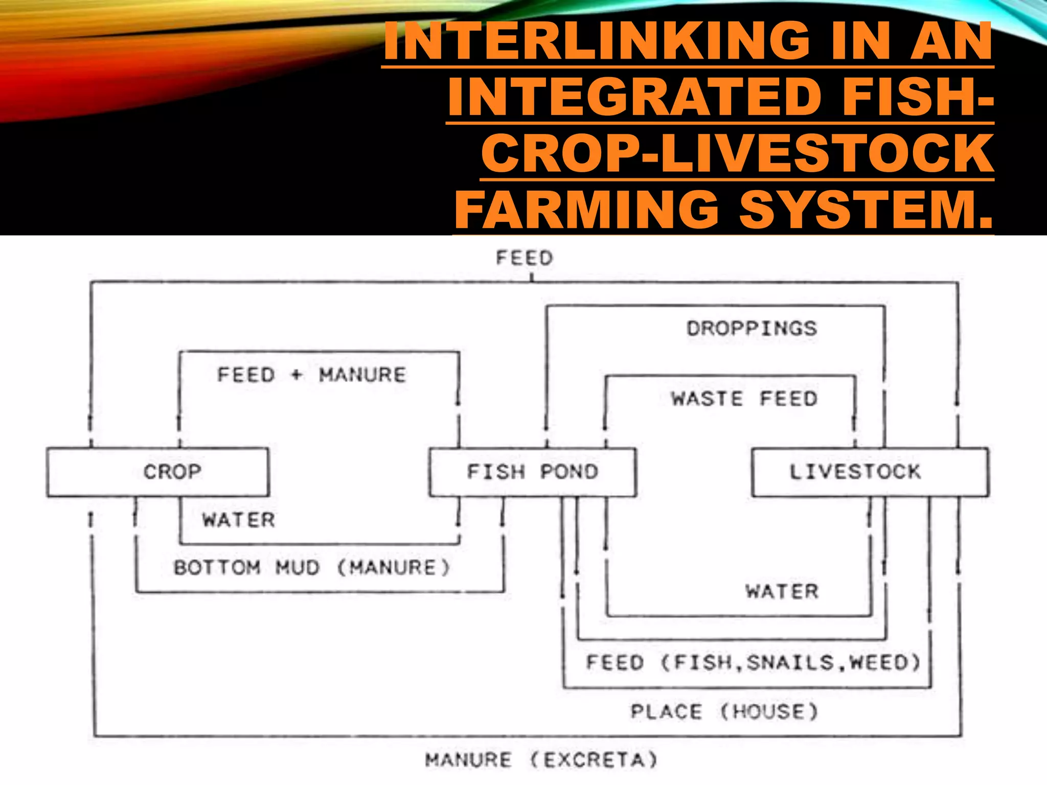 Integrated fish farming system | PPTX