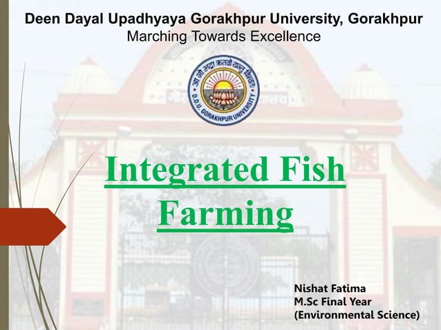 Integrated fish farming system | PPTX | Agriculture | Industries