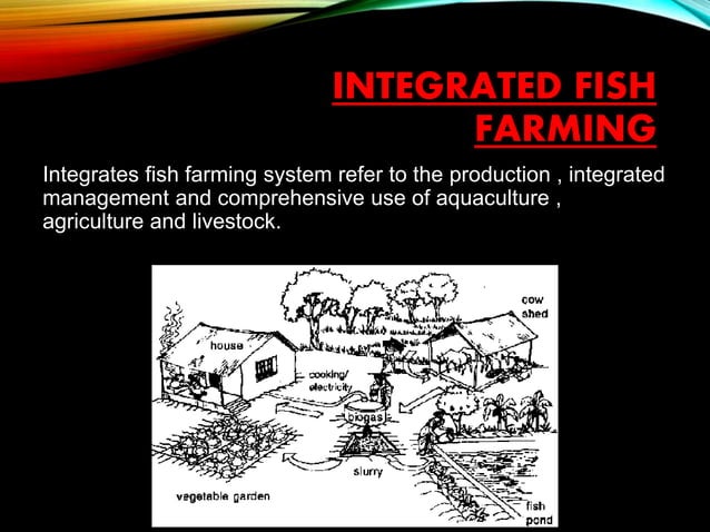 Integrated fish farming system | PPTX | Agriculture | Industries