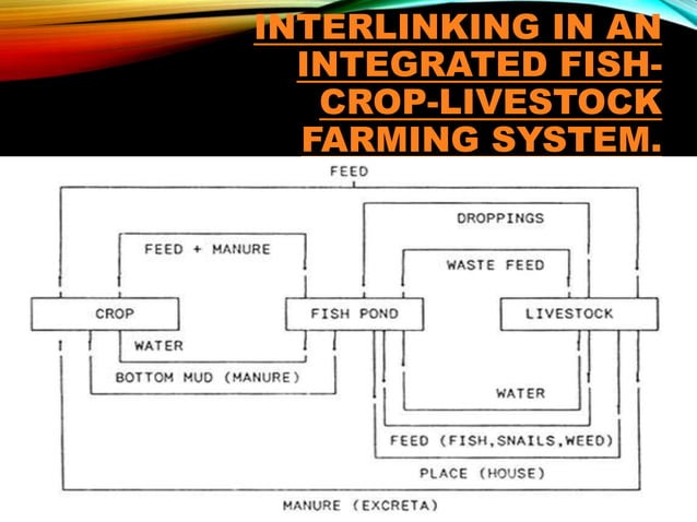 Integrated fish farming system | PPTX | Agriculture | Industries