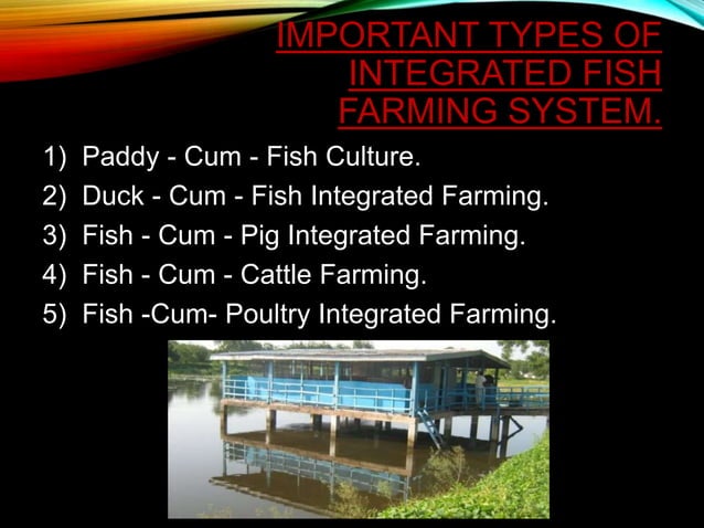 Integrated fish farming system | PPTX | Agriculture | Industries