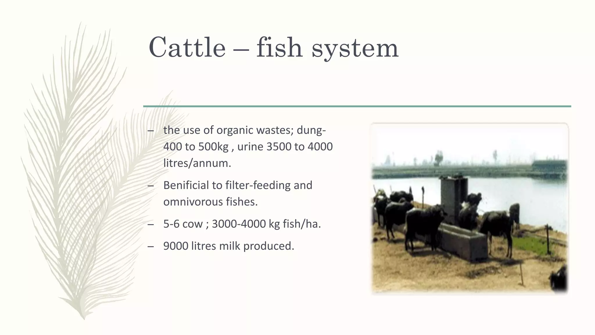 Integrated fish farming system | PPTX