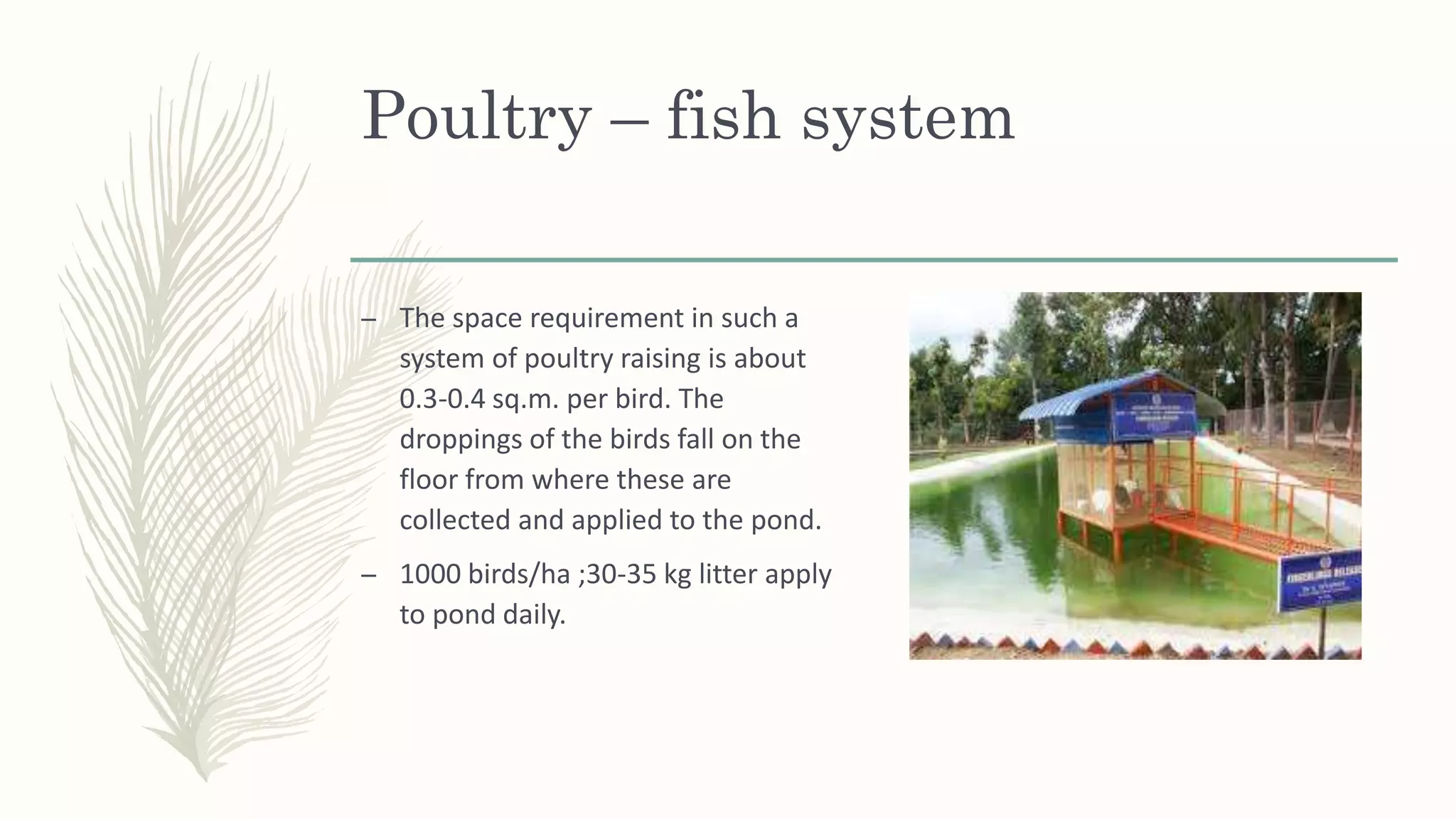 Integrated fish farming system | PPTX