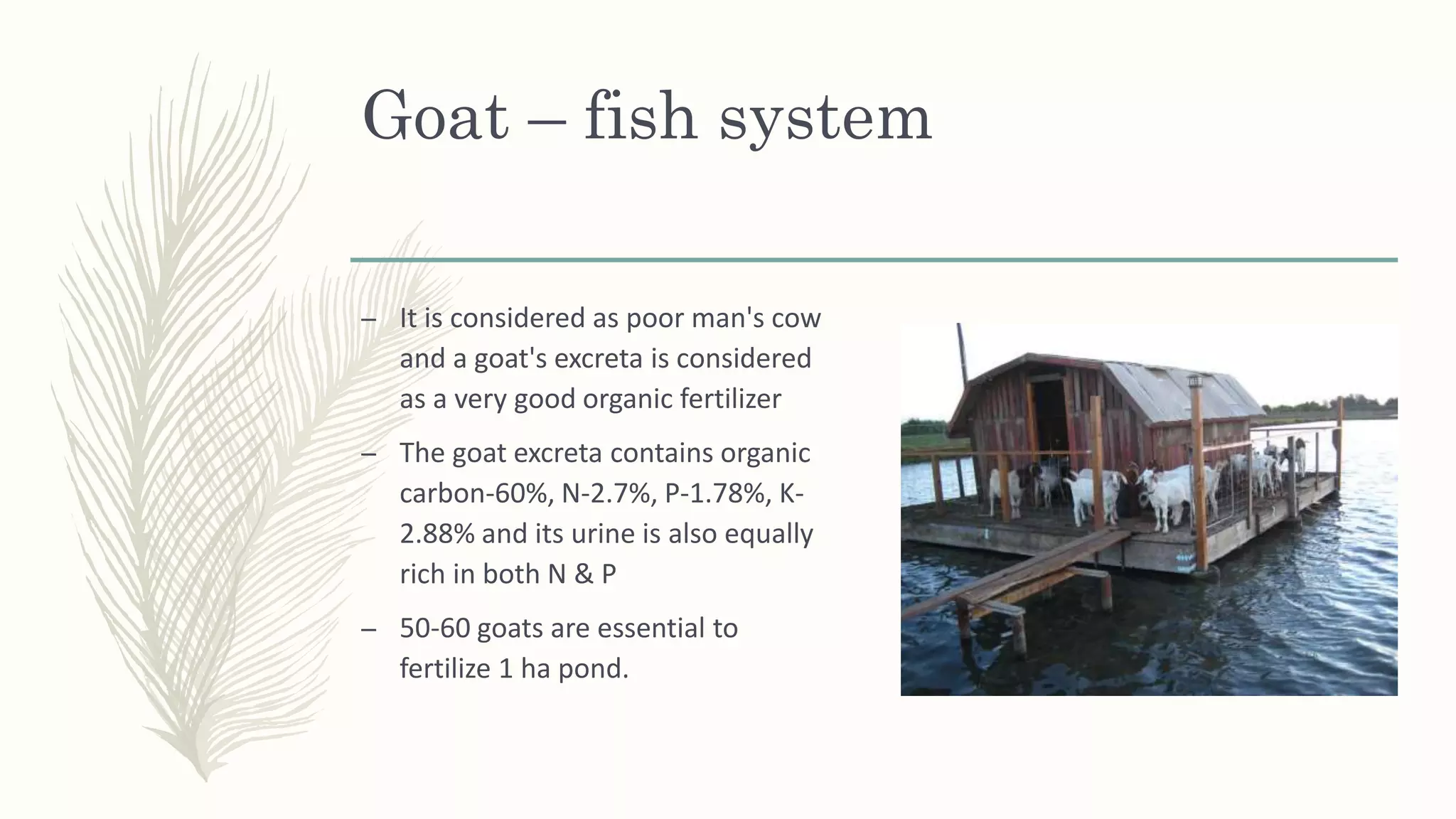 Integrated fish farming system | PPTX