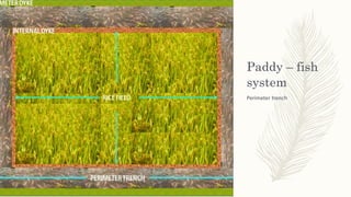 Integrated fish farming system | PPTX