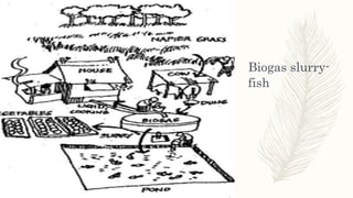 Integrated fish farming system | PPTX
