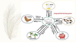 Integrated fish farming system | PPTX
