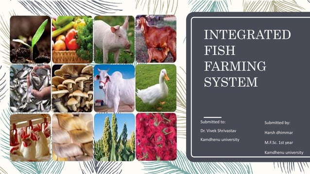 Integrated fish farming system | PPT
