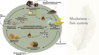 Integrated fish farming system | PPT