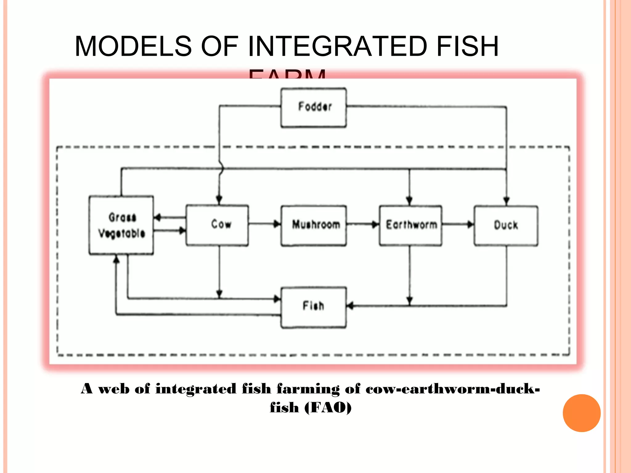 Balai Budidaya Laut Batam | PPT