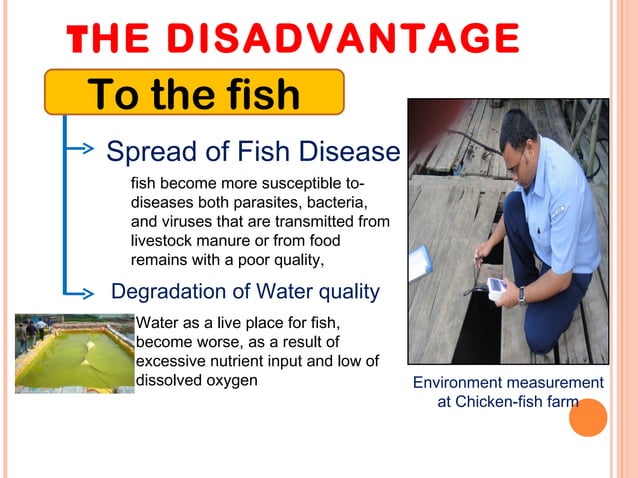 Balai Budidaya Laut Batam | PPT