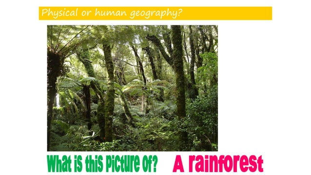 Integrated Geography 1.pdf