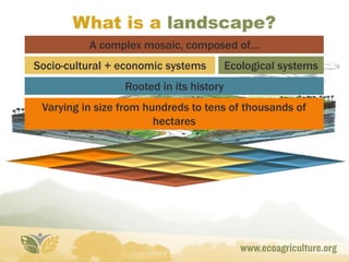 Integrated landscape management in Kenya - WB Land and Poverty ...