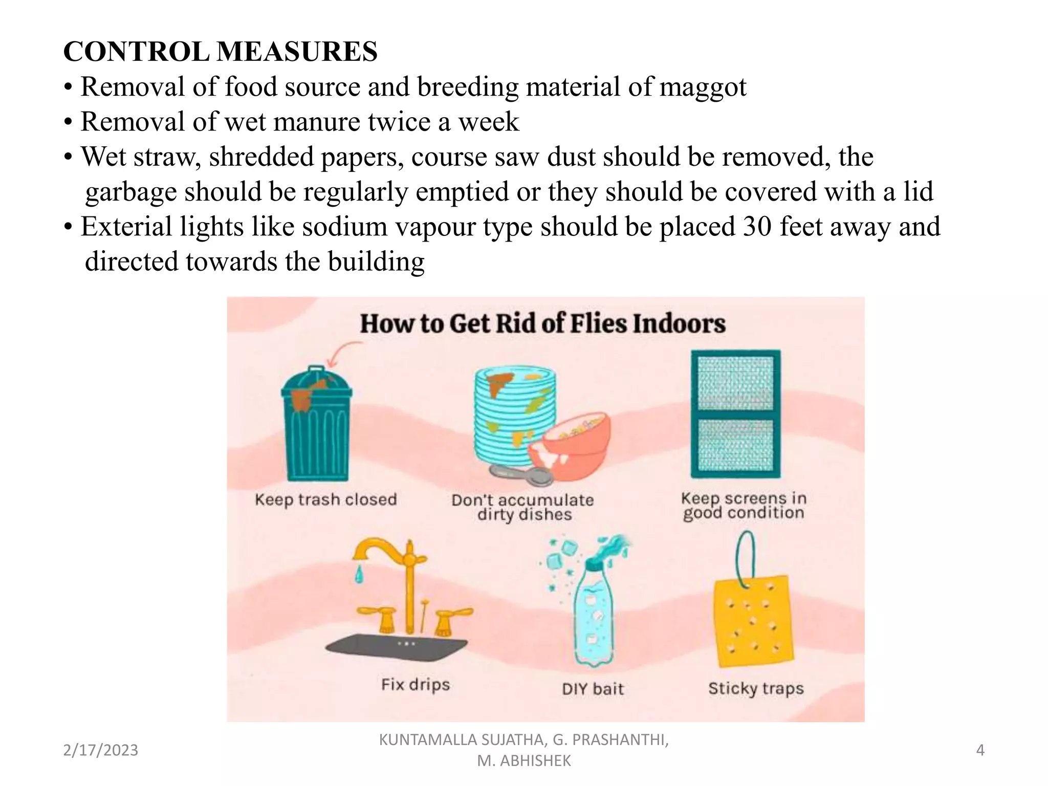 Integrated management of House Flies.pptx