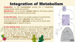 Integrated Metabolism (CHO, Lipid, Protein ).pptx