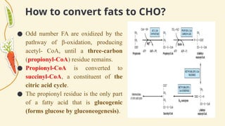 Integrated Metabolism (CHO, Lipid, Protein ).pptx