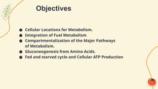 Integrated Metabolism (CHO, Lipid, Protein ).pptx
